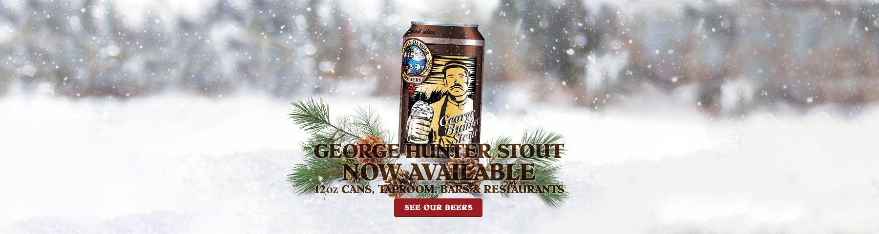 Home | Castle Danger Brewing