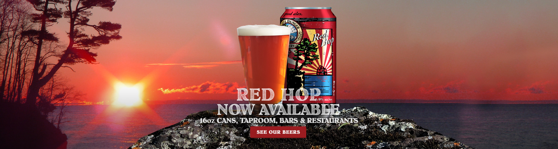 Home | Castle Danger Brewing
