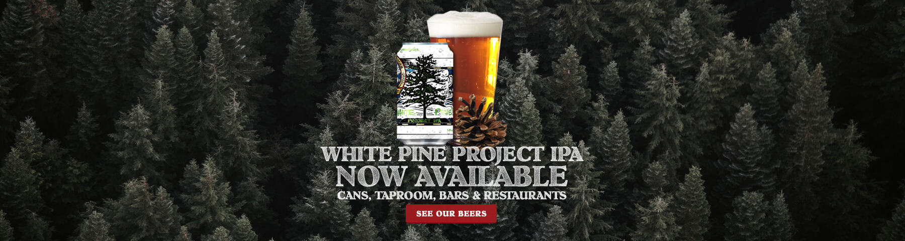 Home - Castle Danger Brewing