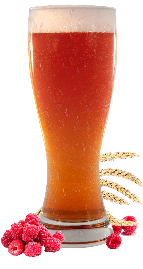 Honey Raspberry Wheat | Castle Danger Brewing